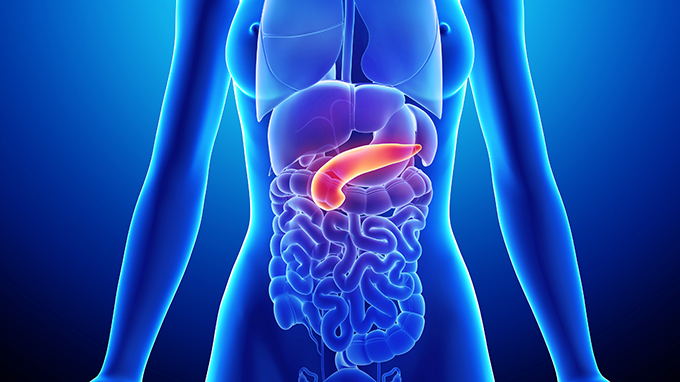 总胆红素高是怎么回事 - 专家文章 - 复禾健康